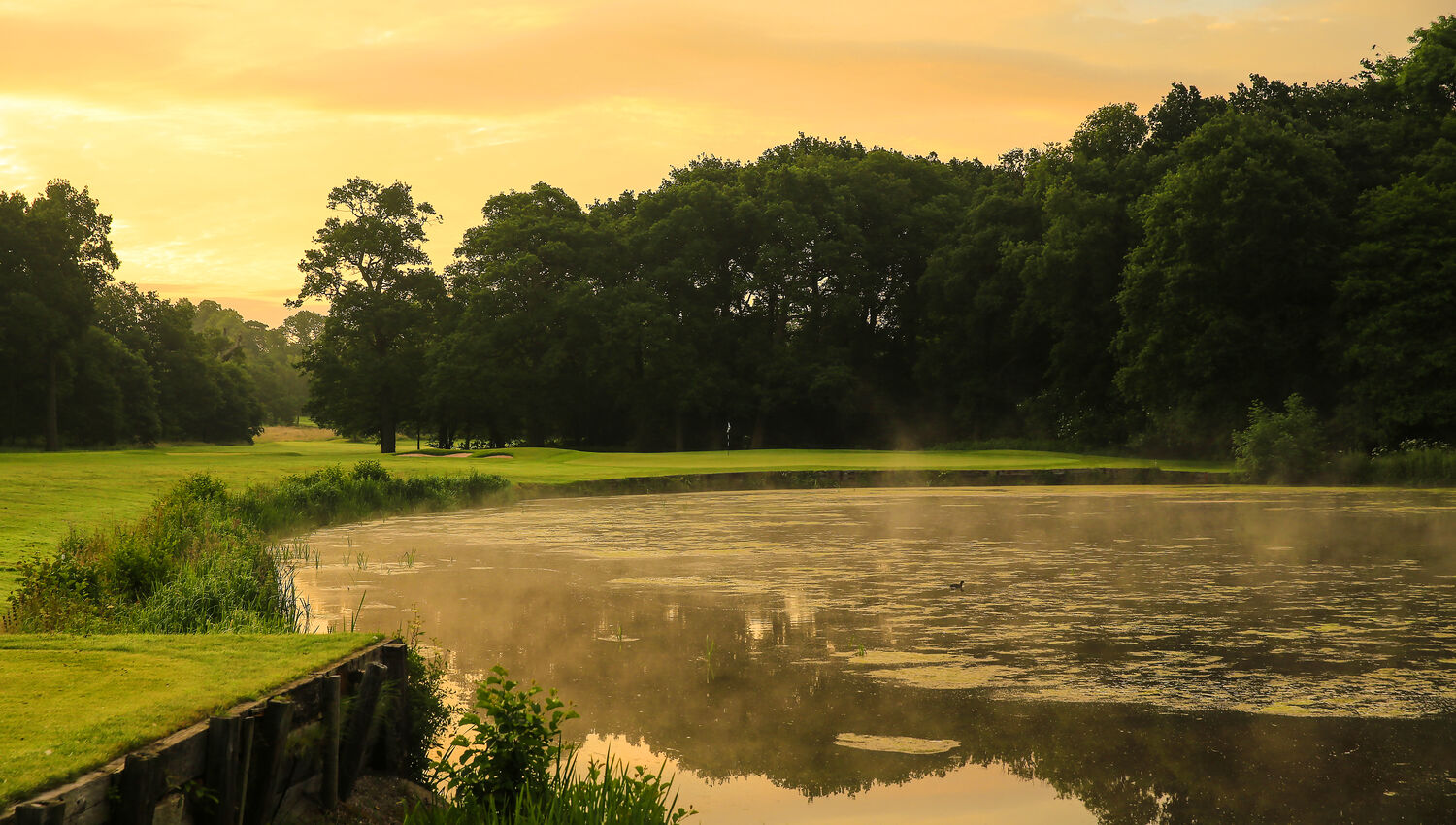 Kedleston Park Golf Club :: Home